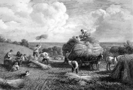 Vol. IV - Chapter 4 :: Pontings-family-history